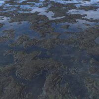 Tidal Pools 1 PBR Material - Texture Download