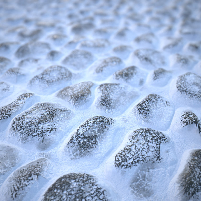 Snow Covered Path PBR Material - Texture Download
