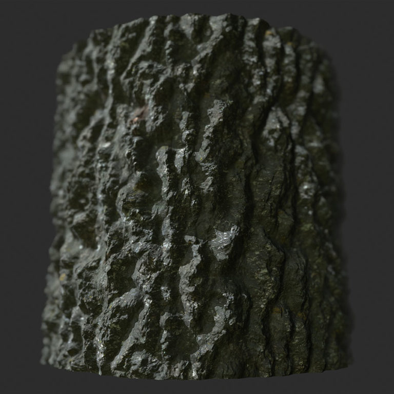 Pine Tree Bark PBR Material - Texture Download